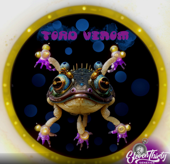 Toad Venom – Eleven Thirty Genetics