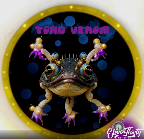 Toad Venom – Eleven Thirty Genetics